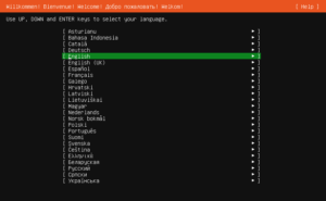 Step-by-Step Guide to Install Ubuntu 22.04 LTS Server